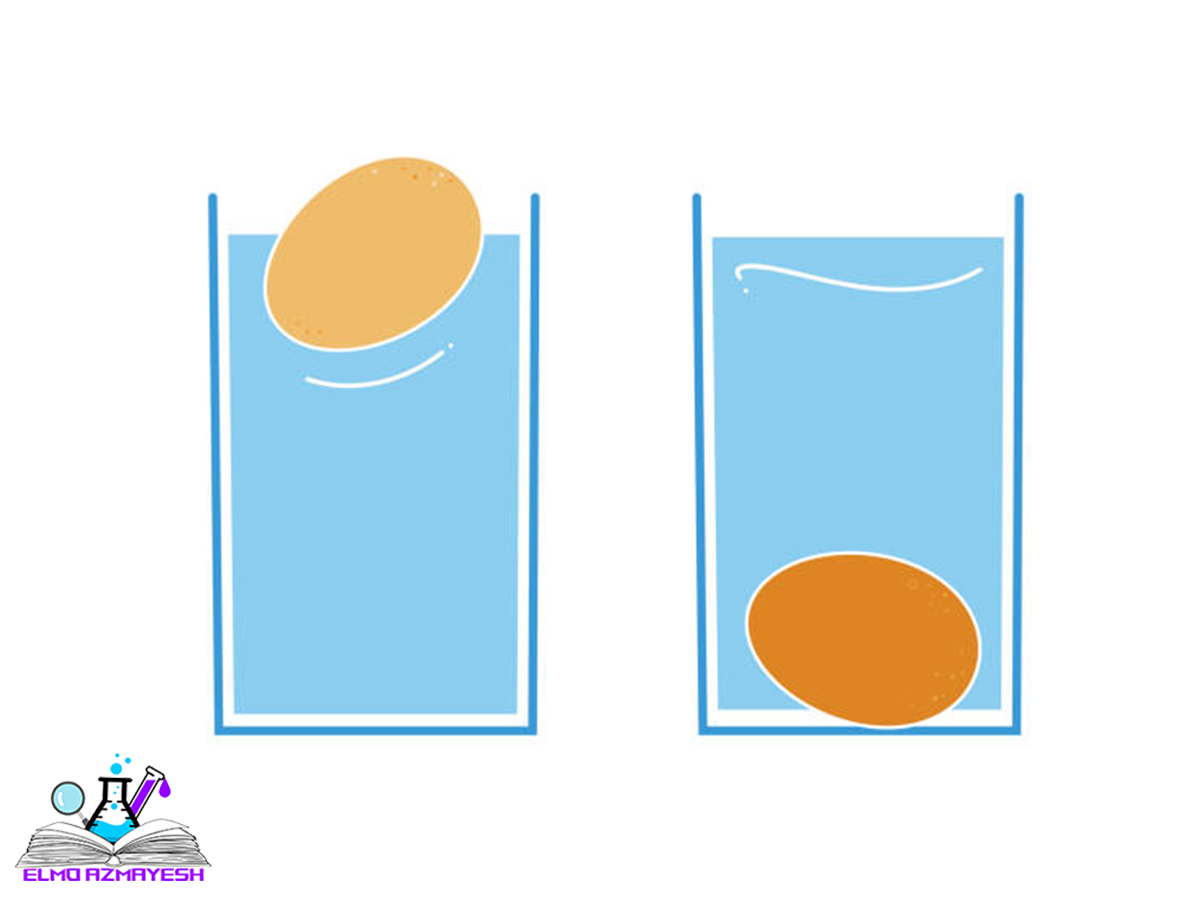 آزمایش تفاوت چگالی آب و آب شور با تخم مرغ - علمینک
